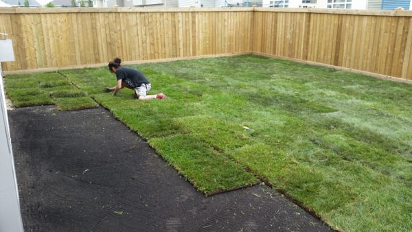 River Valley Final Grading – Edmonton Landscaping Professionals